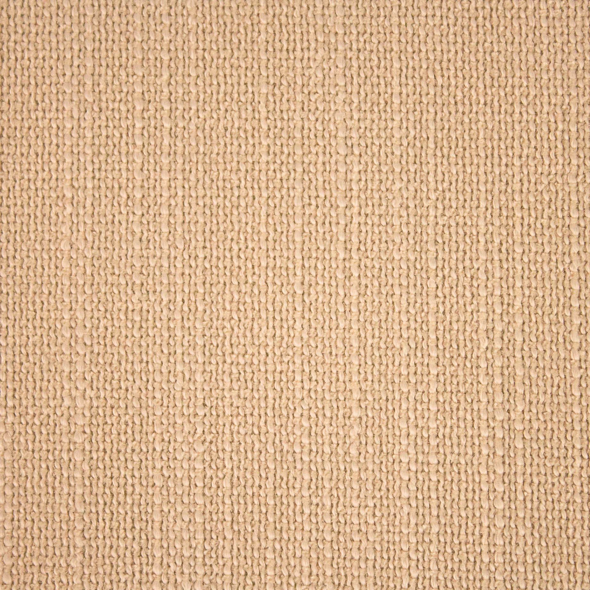 RM Coco Winner's Circle II Daytona Crypton French Vanilla Fabric | Wayfair