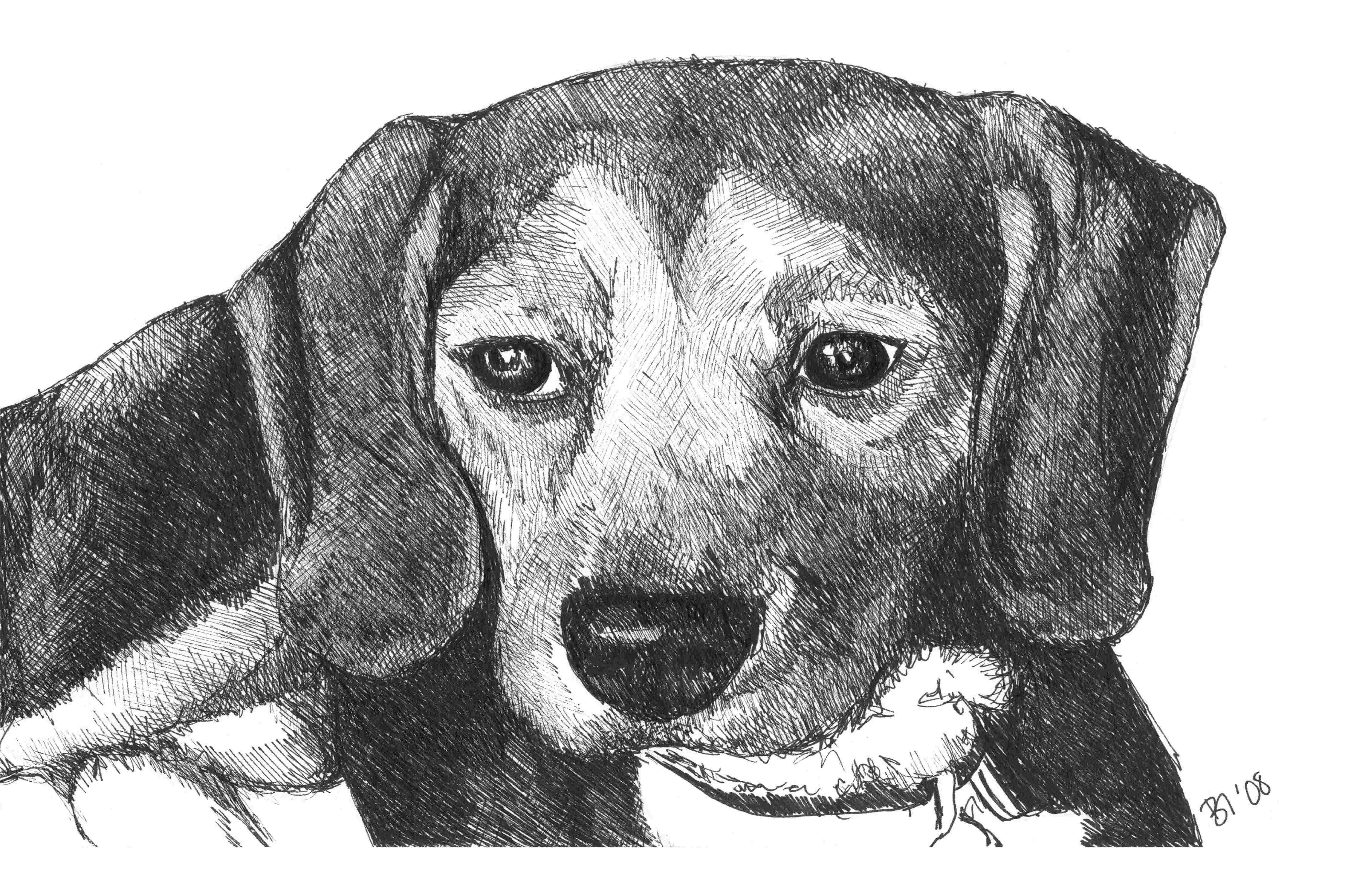 Red Barrel Studio® Lindy The Beagle by Beth Thomas - Wrapped Canvas ...