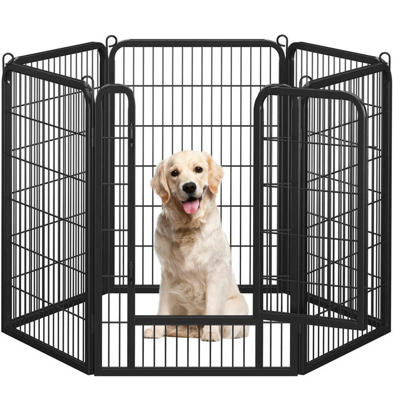 Yaheetech Outdoor Metal Dog Pen & Reviews | Wayfair
