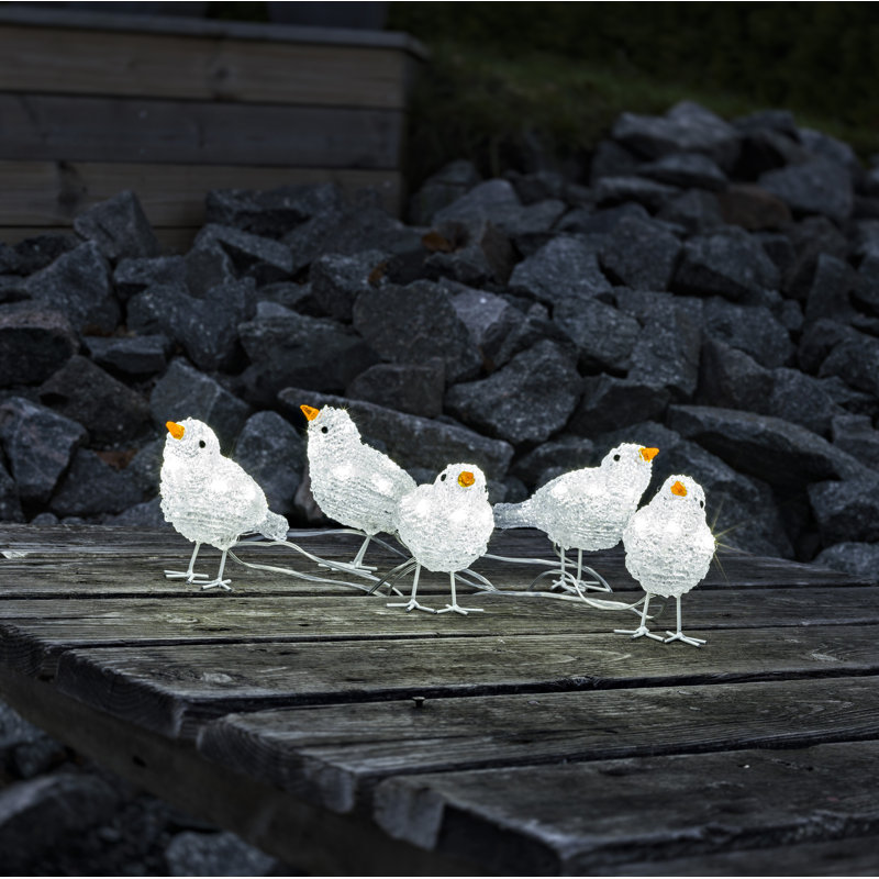 Konstsmide Birds Lighted Display & Reviews | Wayfair.co.uk