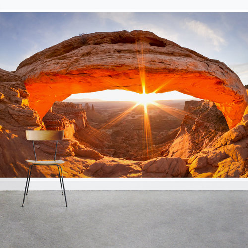 Wallums Wall Decor Peel & Stick Wallpaper | Wayfair