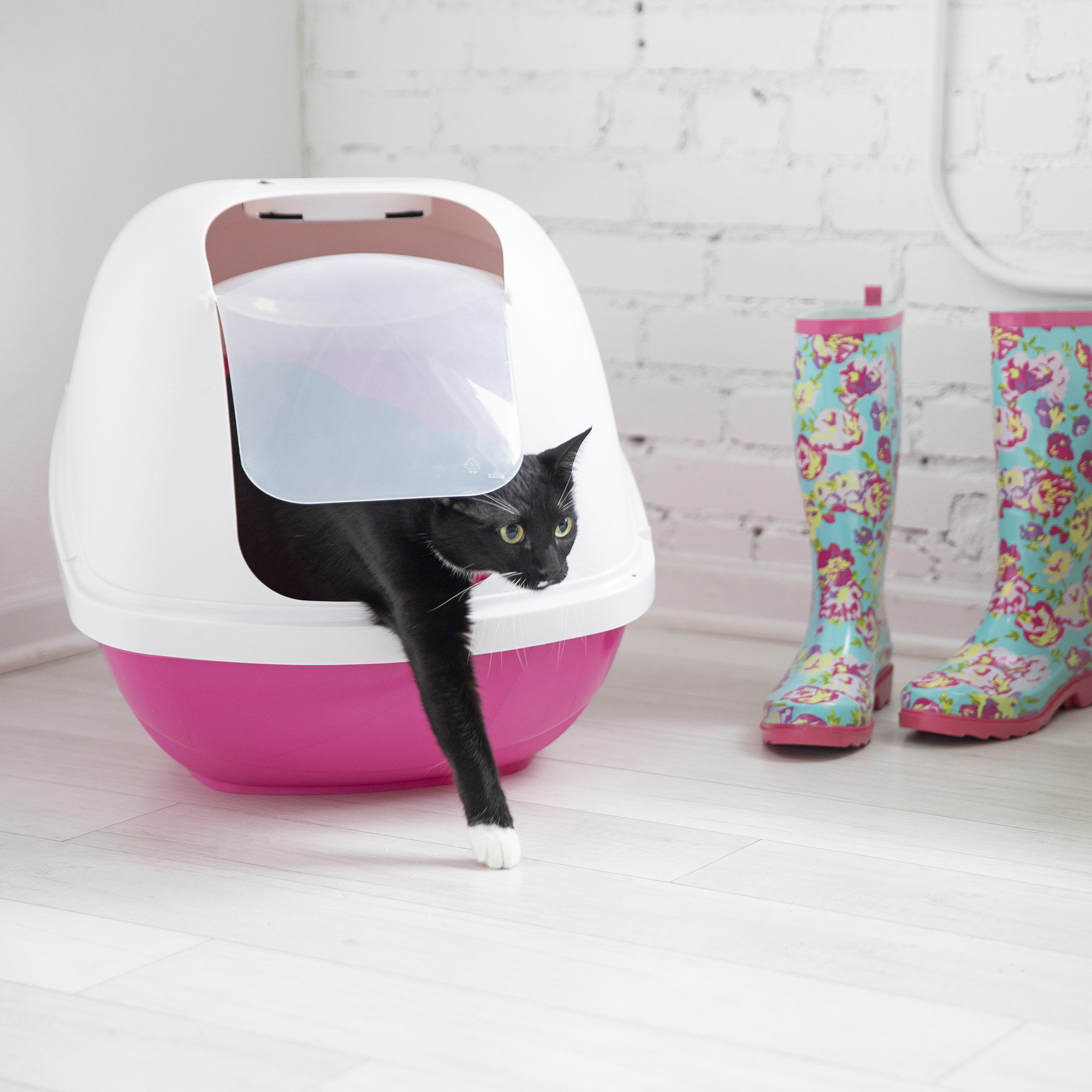 Petmate Basic Hooded Standard Litter Box & Reviews | Wayfair