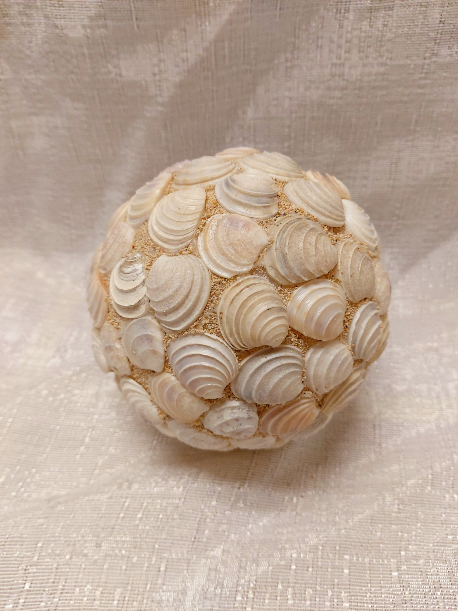 Highland Dunes Lietz Sea Shell Ball Sculpture | Wayfair