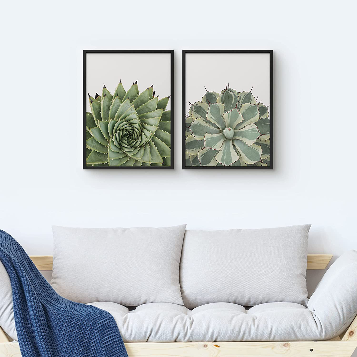 SIGNLEADER Spiked Spiral Succulent Duo - 2 Piece Picture Frame ...