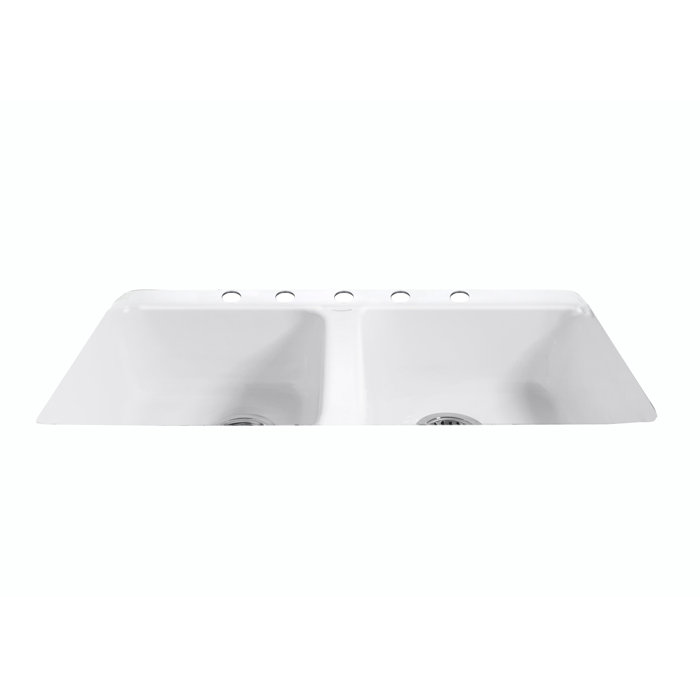 CECO Royal Palm 22'' W Double Bowl Cast Iron Undermount Kitchen Sink ...