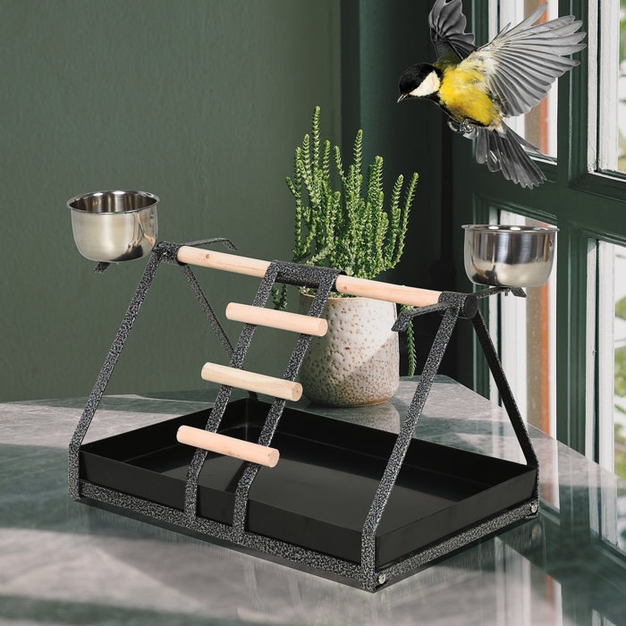 Pawhut 10.75'' Wood Bird Play Stand for Table Top & Reviews | Wayfair