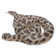 Hi-Line Gift Ltd. CURLED UP PYTHON STATUE | Wayfair