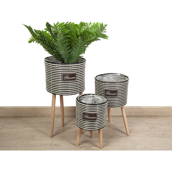 Canora Grey Set 3 Ceramic Planters With Wooden Legs | Wayfair.co.uk