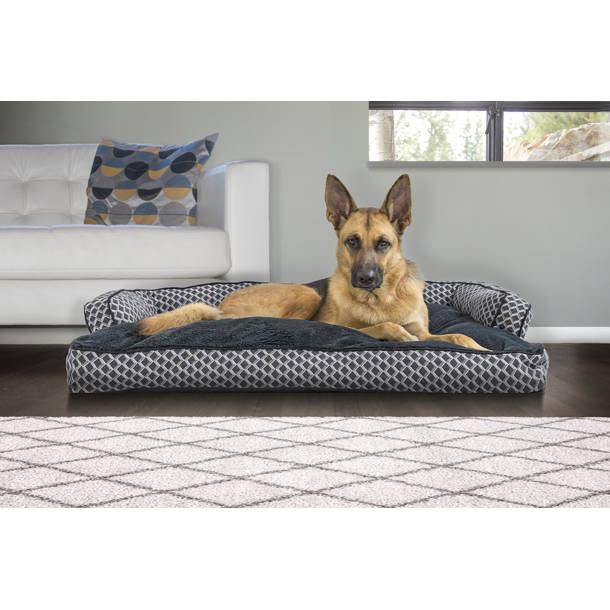 Pet Gear Tri-Fold Reflective Extra Wide Pet Ramp & Reviews | Wayfair