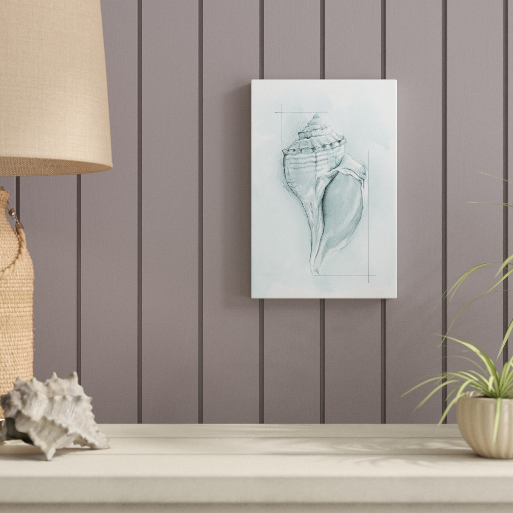 Breakwater Bay Coastal Shell Schematic I by Megan Meagher - Print on ...