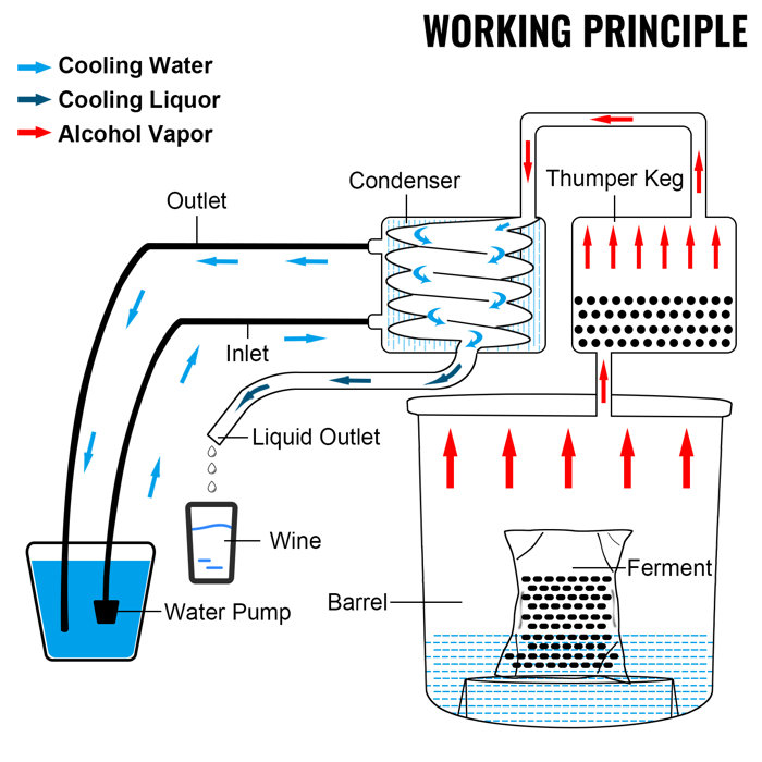 Vevor 5.5 Gallon 20L Boiler Home Brewing Kit & Reviews | Wayfair