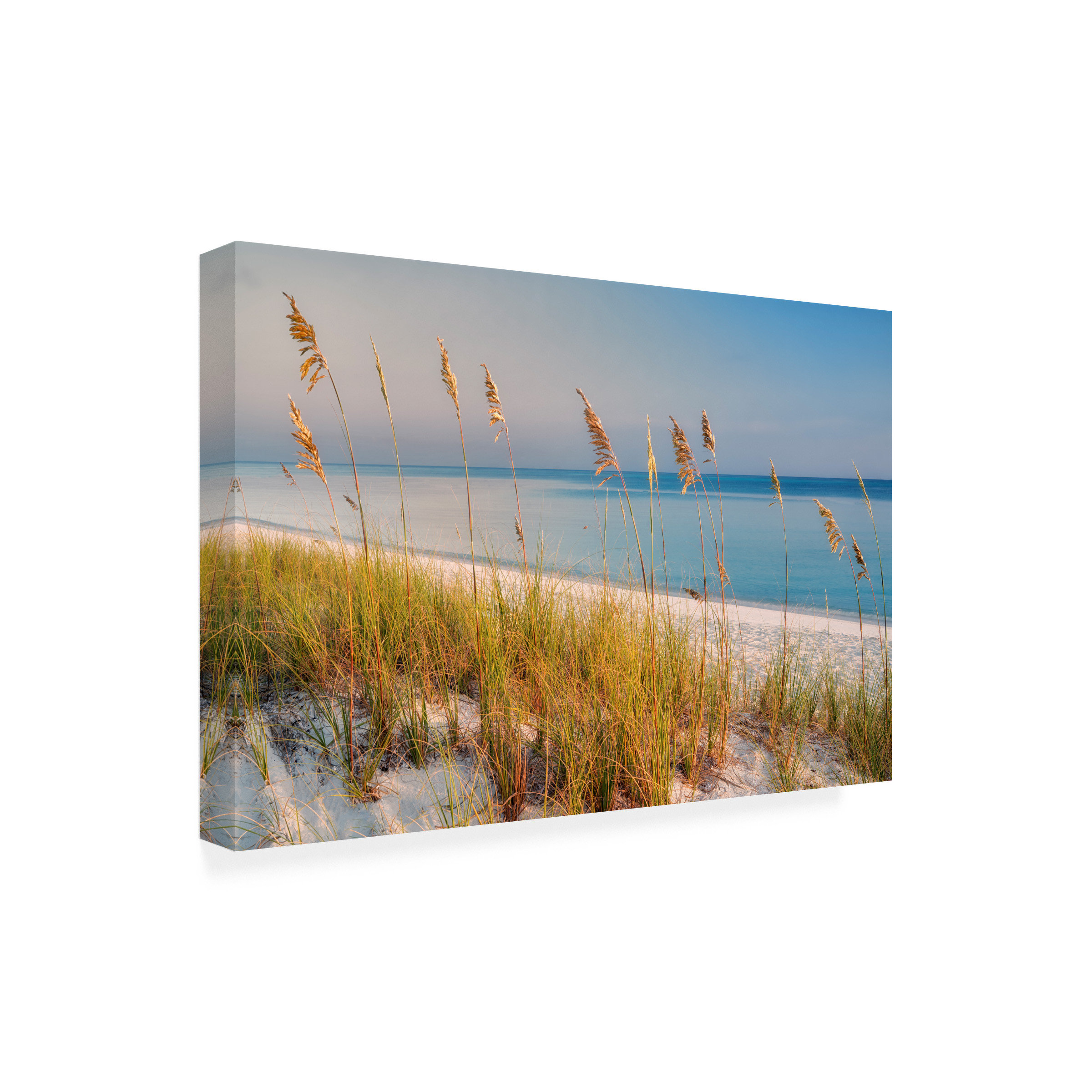 Dovecove Dennis Frates Burtrum Outdoor Canvas | Wayfair