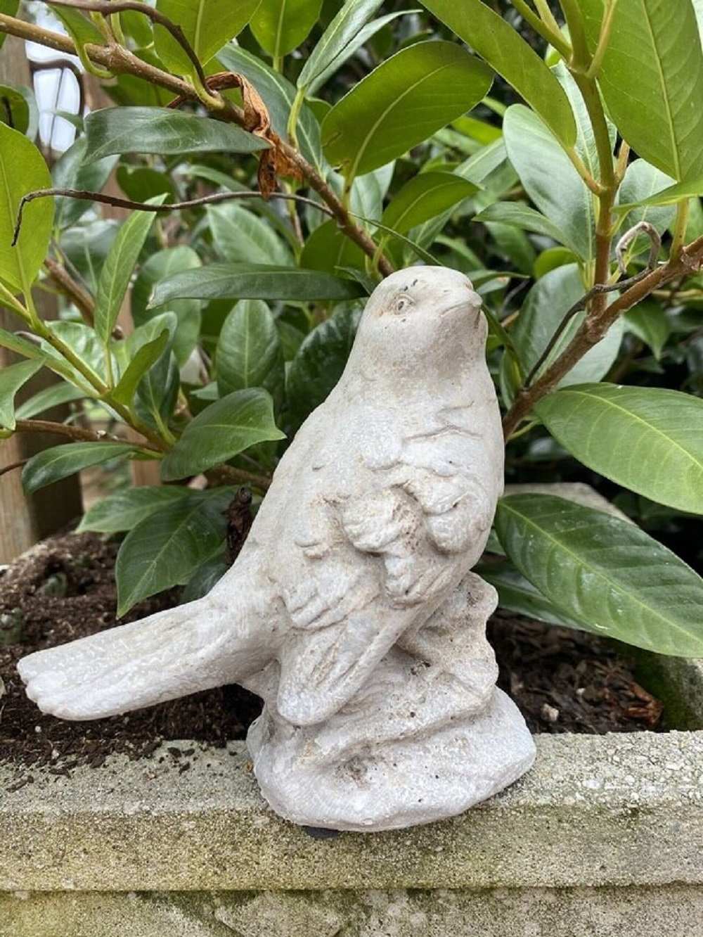 Rosalind Wheeler Rayan Tall Cement Statue | Wayfair