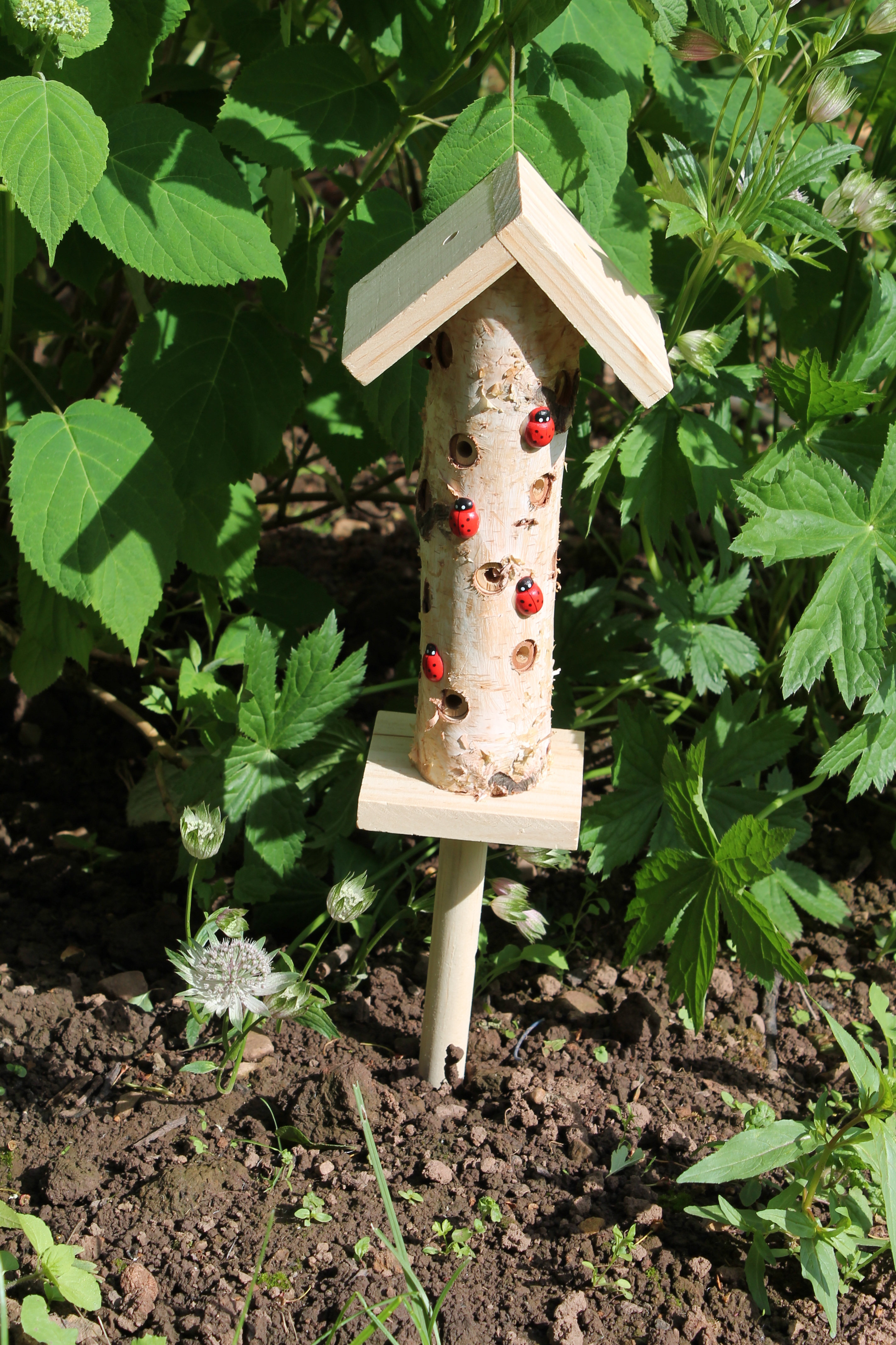 Dakota Fields Oddi Free Standing Ladybird House | Wayfair.co.uk