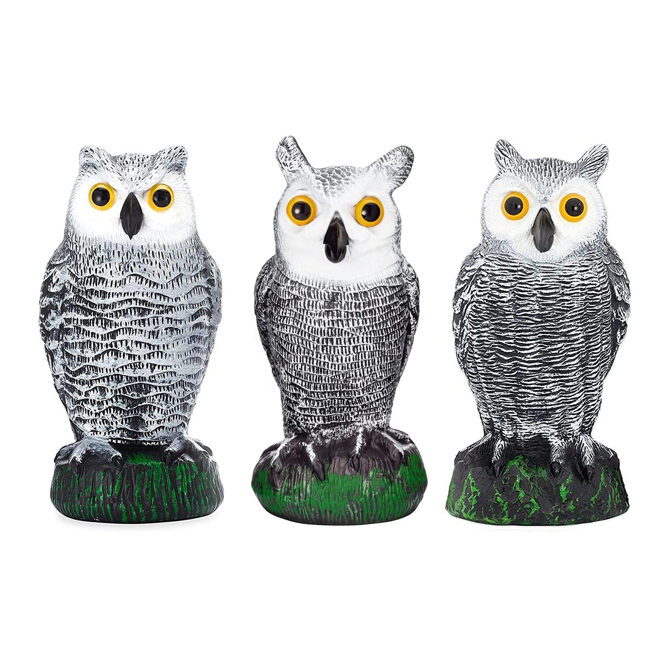 Loon Peak® 3 Piece Fake Owl Decoy and Bird Deterrent Set | Wayfair