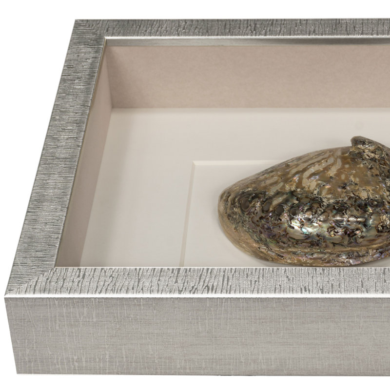 Rosecliff Heights 2 Piece Abalone & Pearl Shell Shadow Box Wall Décor ...