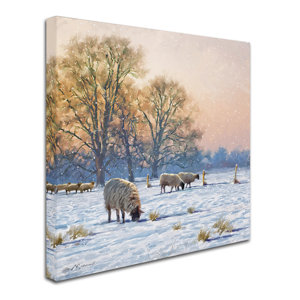 Trademark Art The Macneil Studio Winter Sheep by The Macneil Studio ...