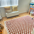 Walker Checkered Burnt Orange/Cream Shag Area Rug & Reviews | AllModern
