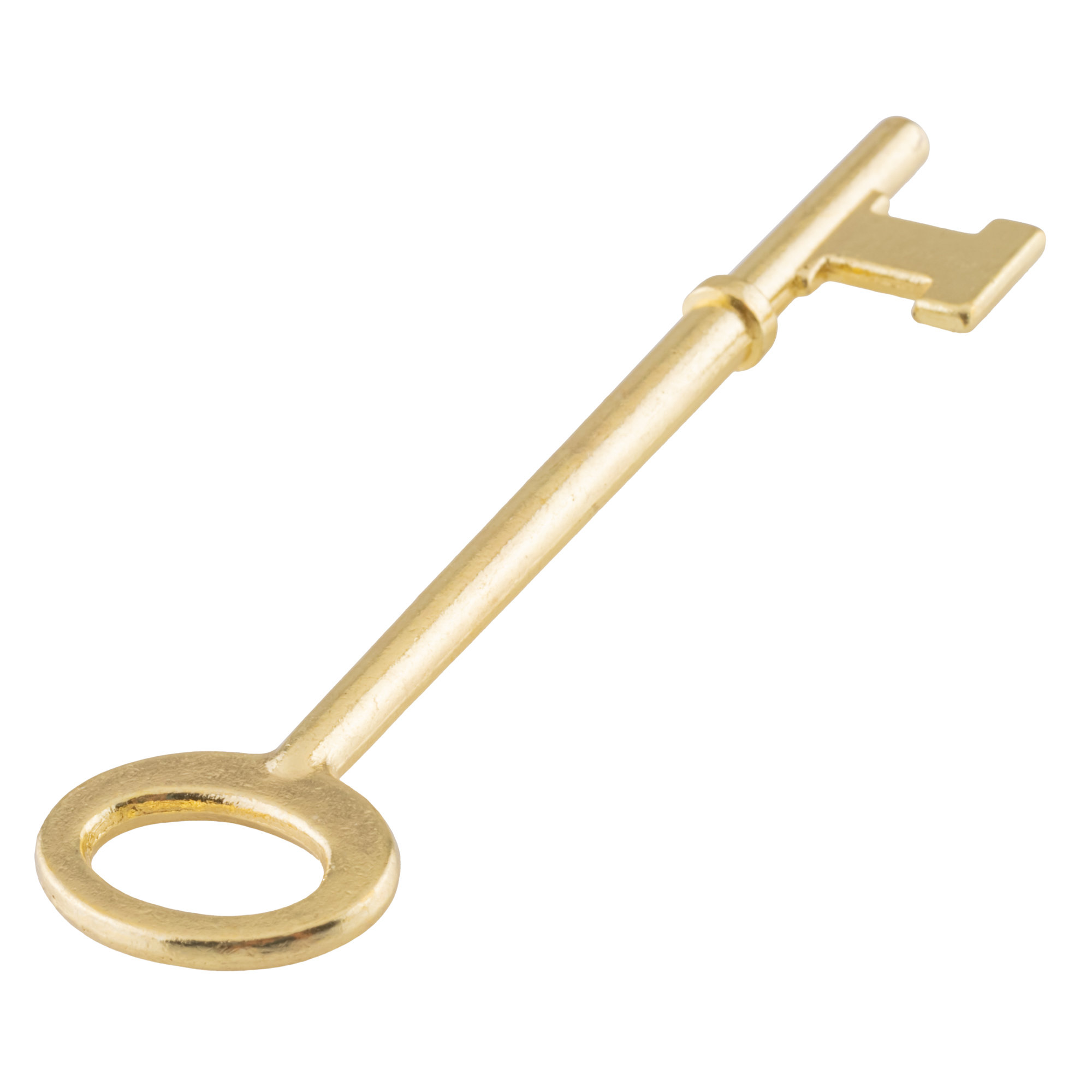 UNIQANTIQ HARDWARE SUPPLY Skeleton Key | Wayfair