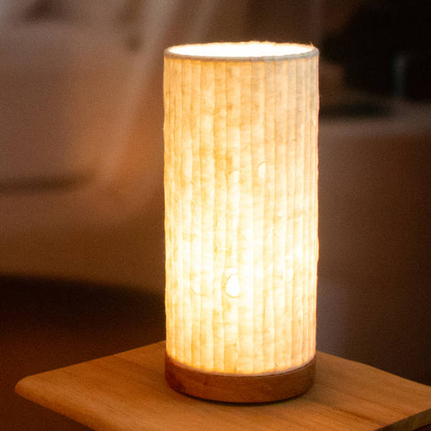 Eangee Home Design Cylinder Night Light & Reviews | Wayfair