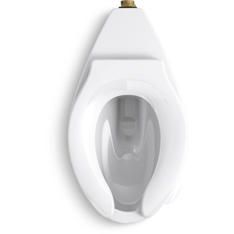 Kohler Rear Spud Antimicrobial Flushometer Bowl | Wayfair