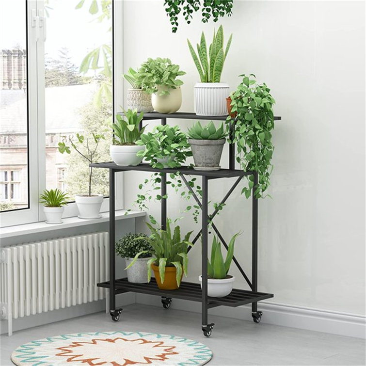 Arlmont & Co. Nethmi Rectangular Multi-tiered Plant Stand | Wayfair