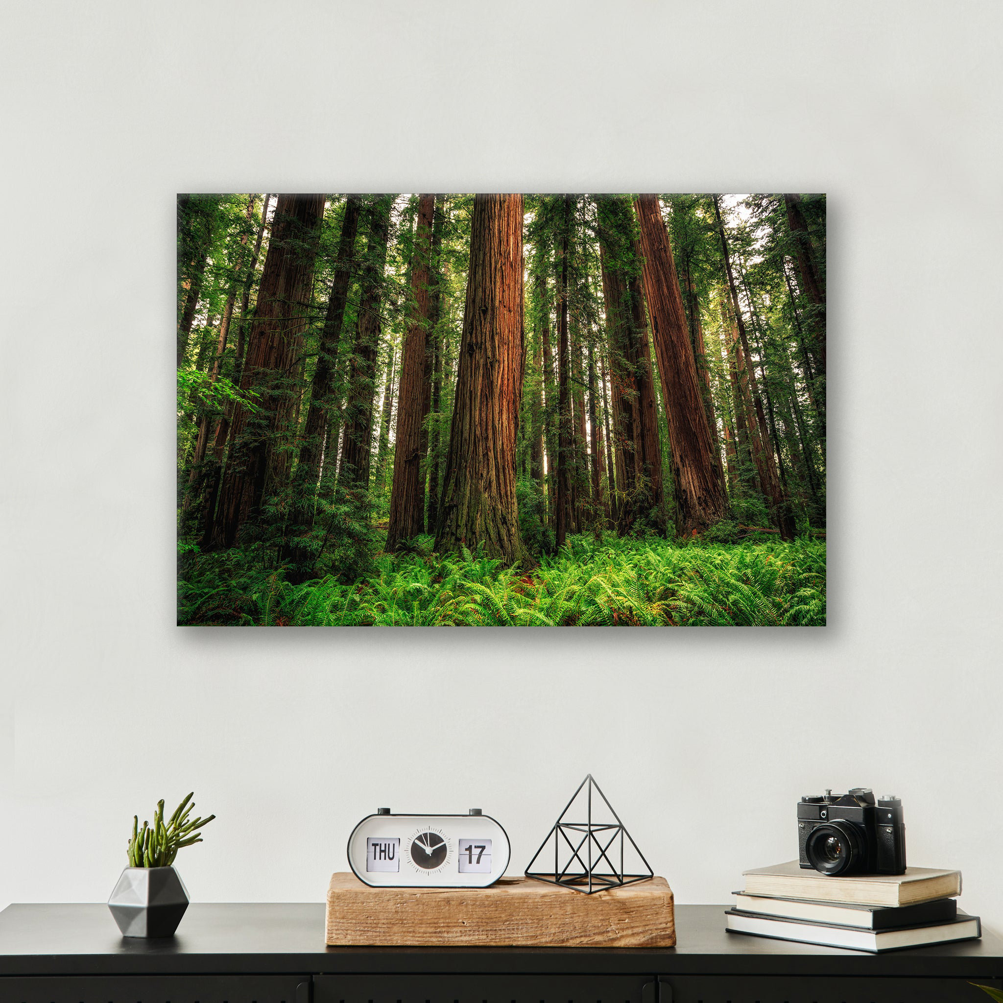 Loon Peak® Ferns Wall Decor | Wayfair