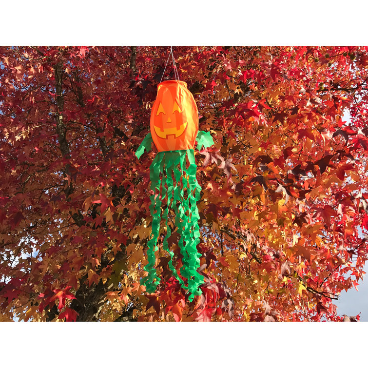 InTheBreeze Jack O' Lantern 3D Windsock & Reviews | Wayfair