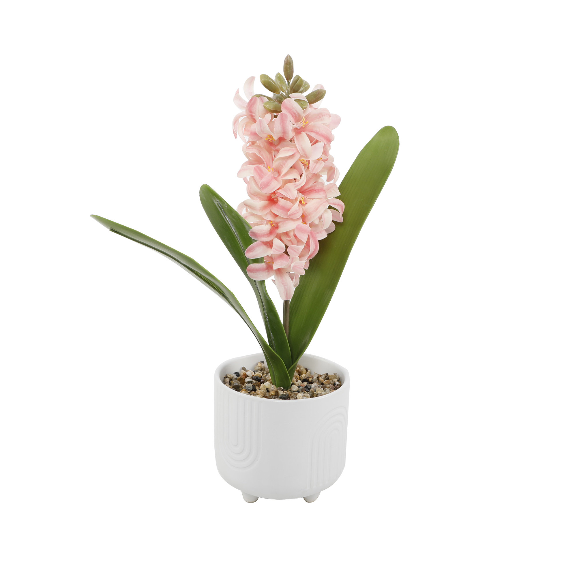 Primrue Hyacinth Centerpiece in Pot | Wayfair