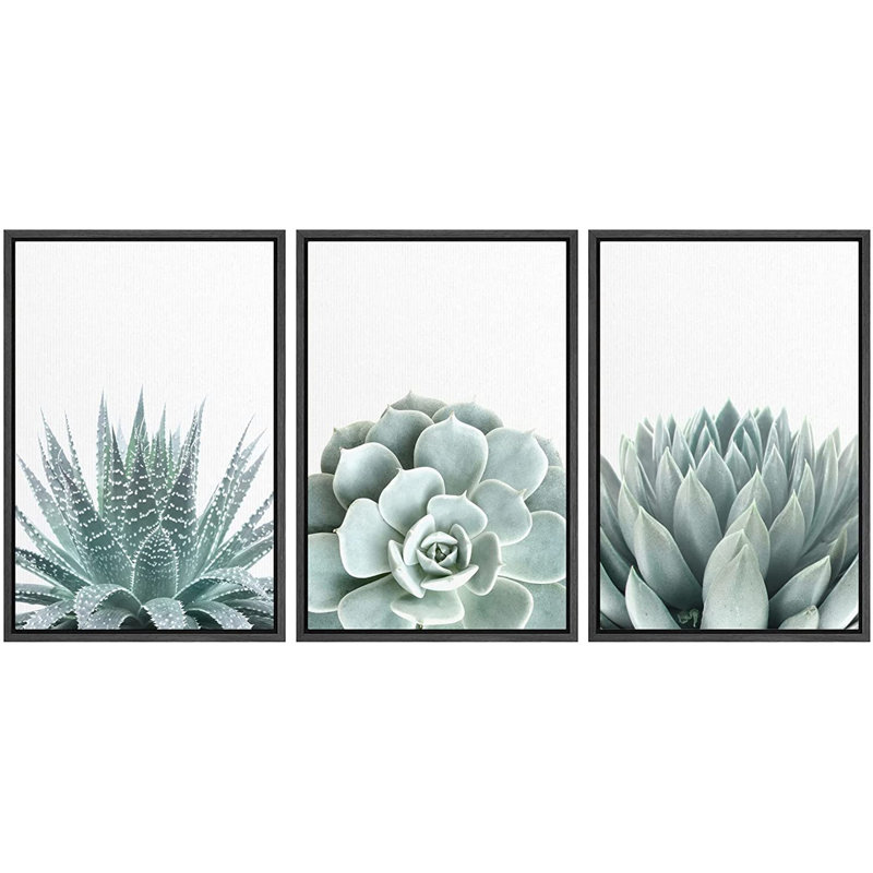 IDEA4WALL Green Succulent And Cactus Variety Wilderness Nature Framed ...
