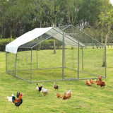 Wayfair | Chicken Runs You'll Love in 2023