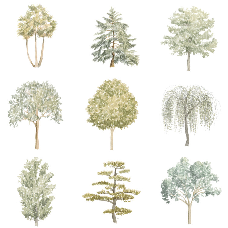 Red Barrel Studio® Tree Varieties II On Canvas by Megan Meagher Print ...