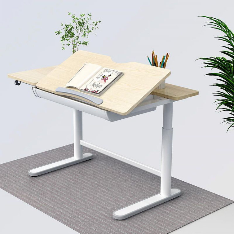 Ebern Designs Electric Standing Desk Study Desk For Student And ...