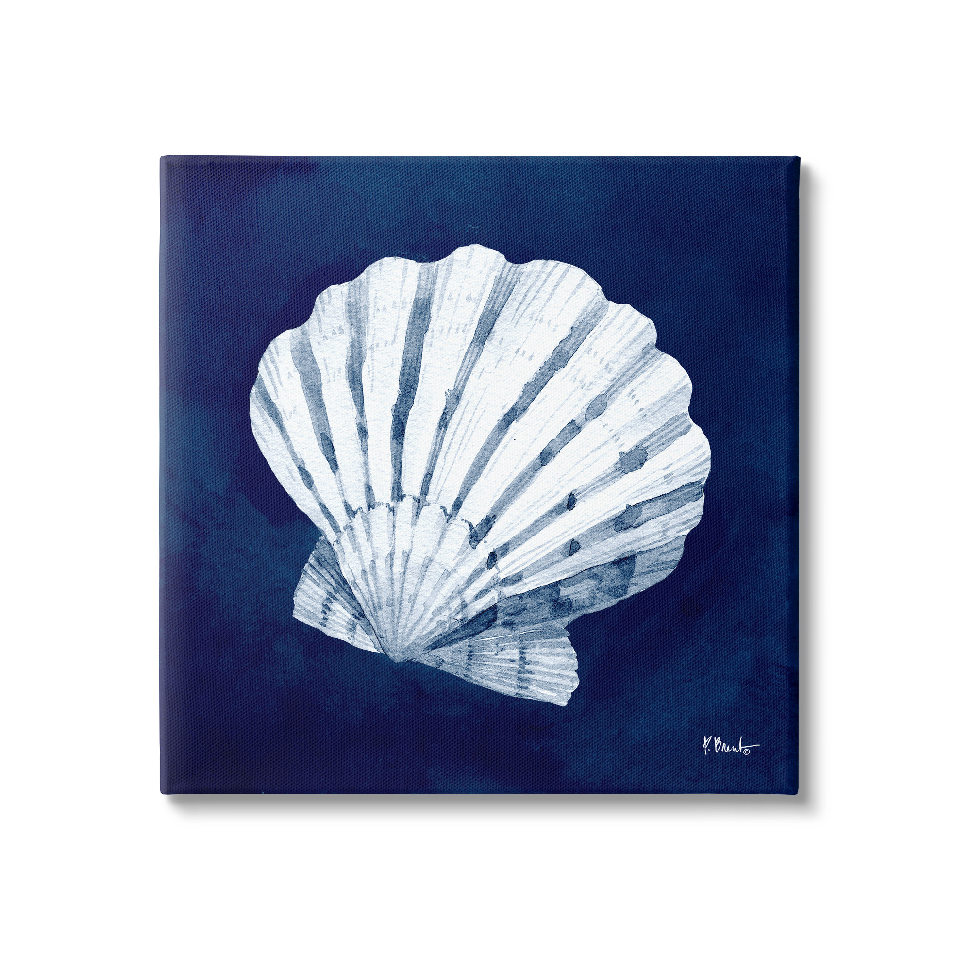 Highland Dunes Cyanotype Shells Traditional Scallop by - Wrapped Canvas ...