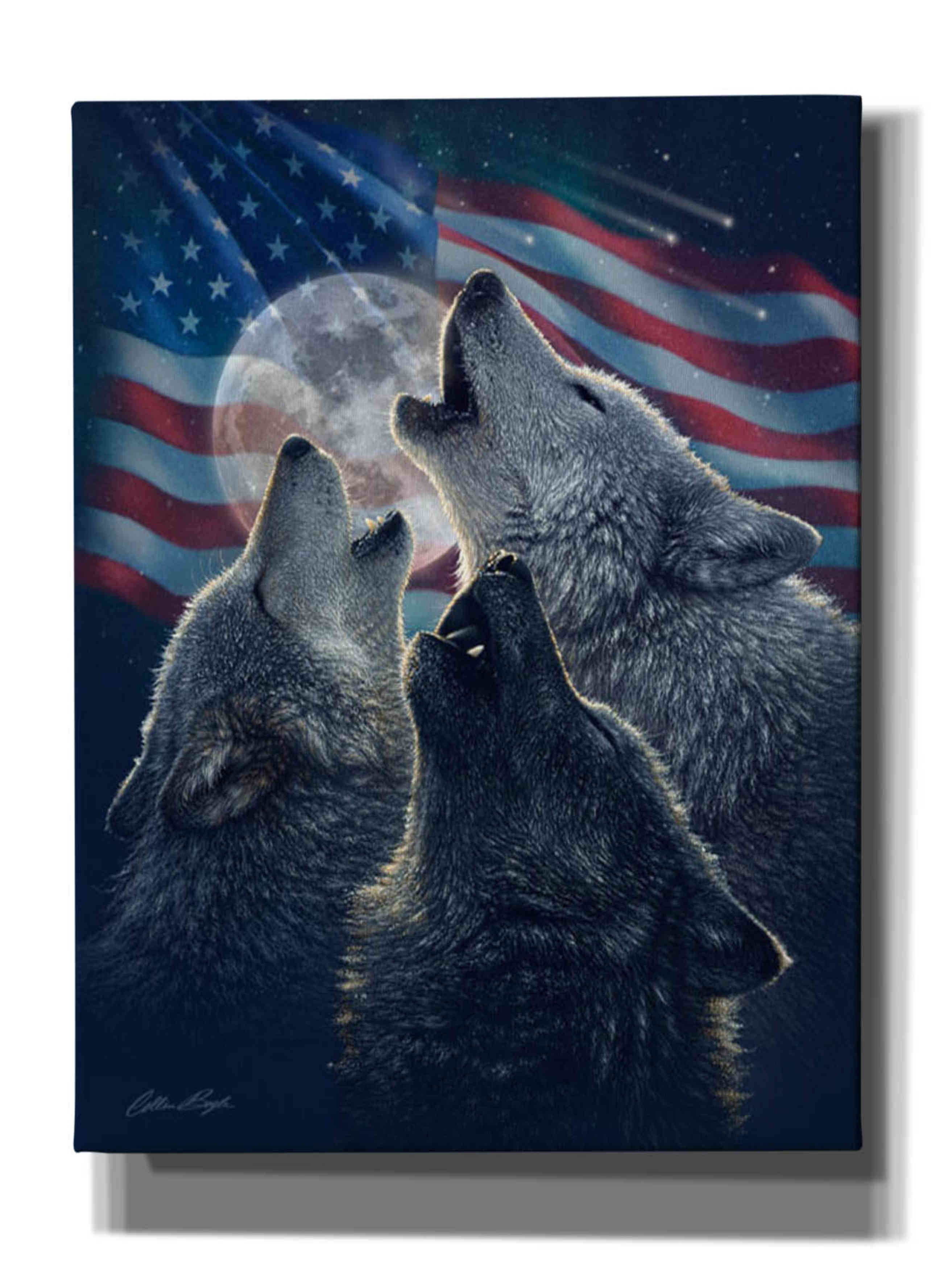 Trinx Wolf Trinity Patriotic by Collin Bogle - Wrapped Canvas Graphic ...