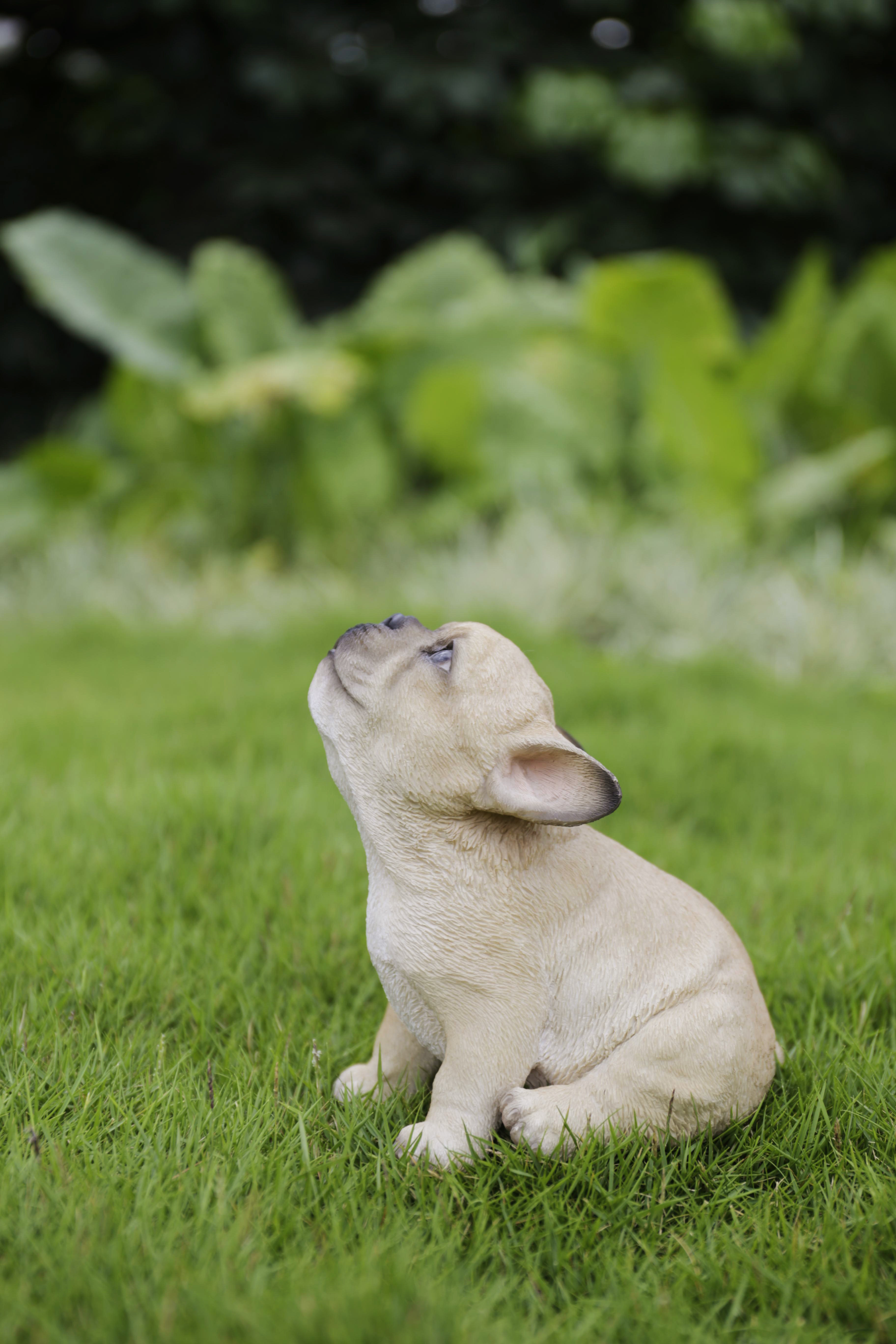 Hi-Line Gift Ltd. French Bulldog Puppy Howling Statue & Reviews | Wayfair