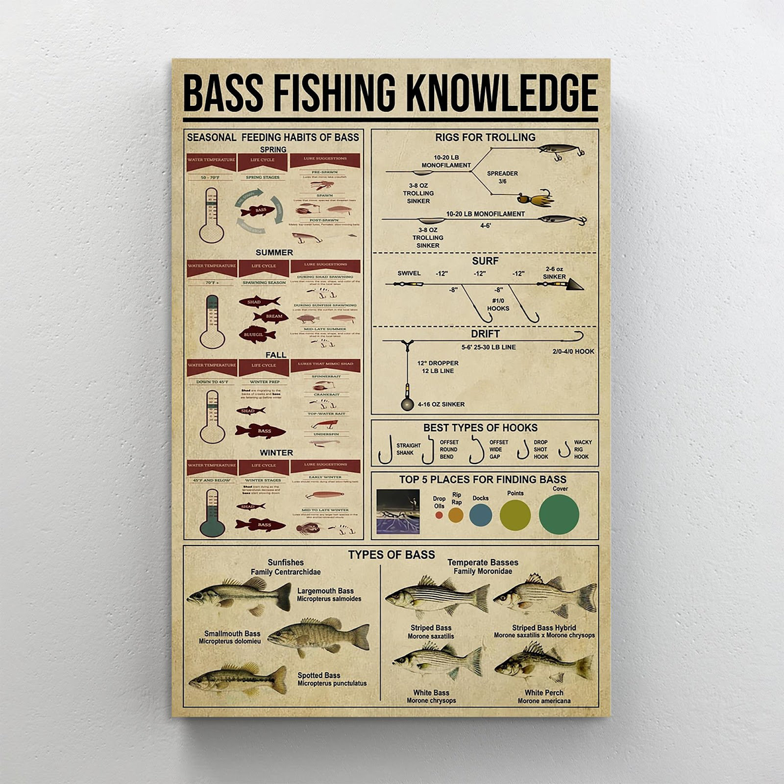 Trinx Bass Fishing Knowledge - 1 Piece Rectangle Graphic Bass Fishing ...