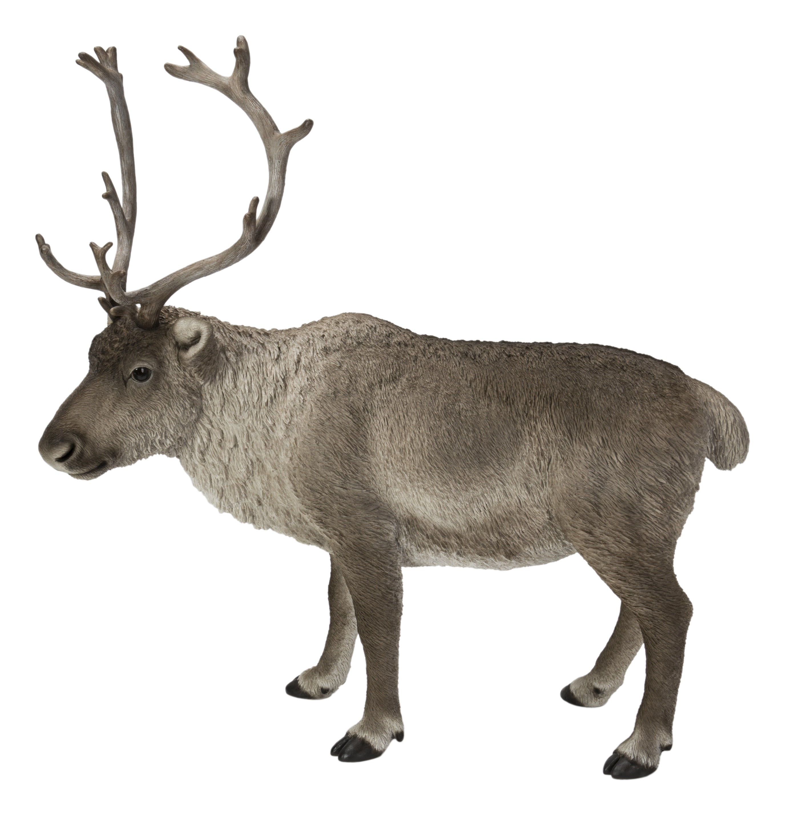 Hi-Line Gift Ltd. Reindeer Standing | Wayfair