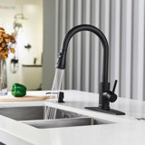 Kitchen Faucets