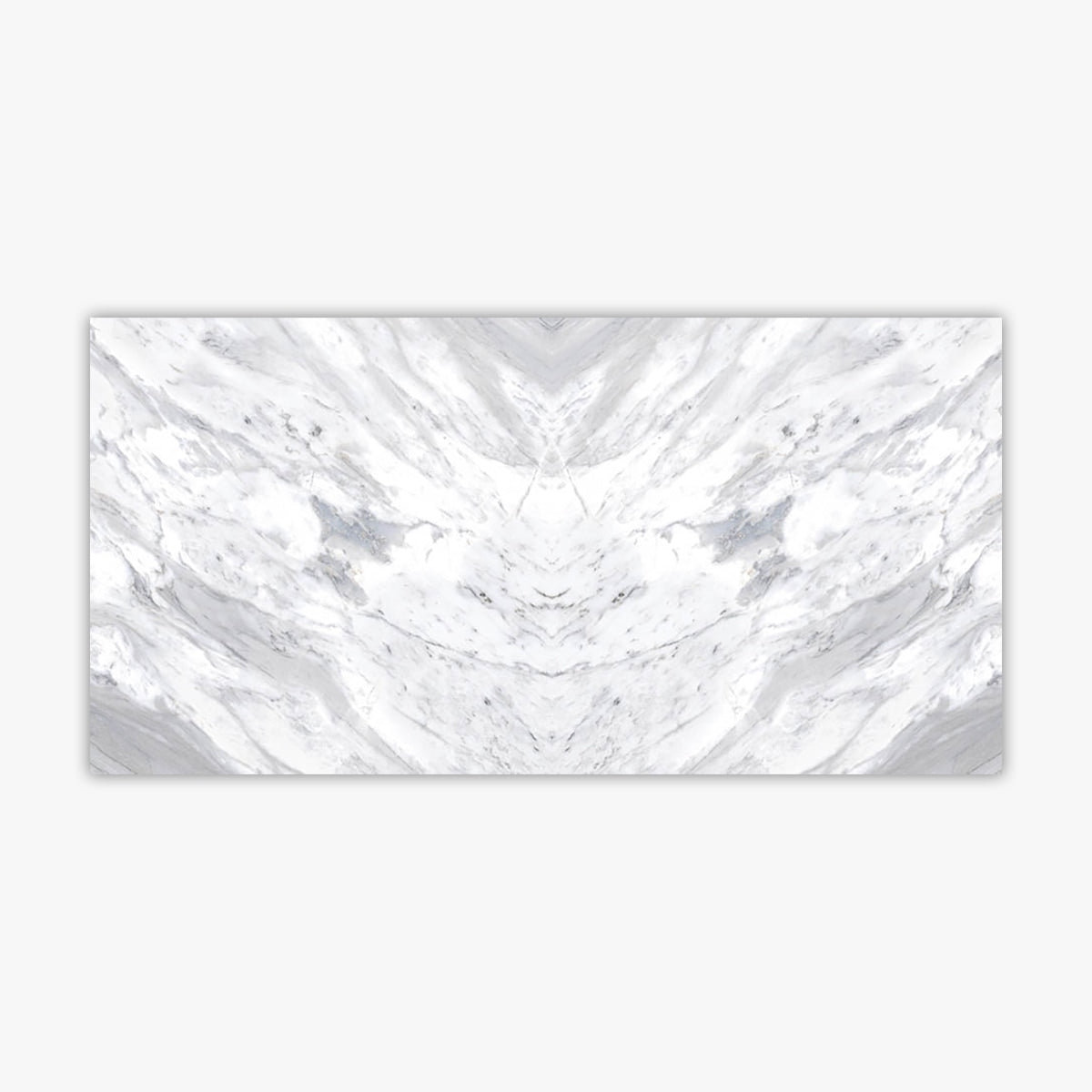 Direct Stone Source New Bianco Carrara 24" x 48" Porcelain Marble Look ...