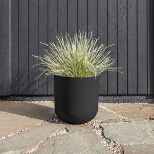 Wayfair | Planters You'll Love in 2023
