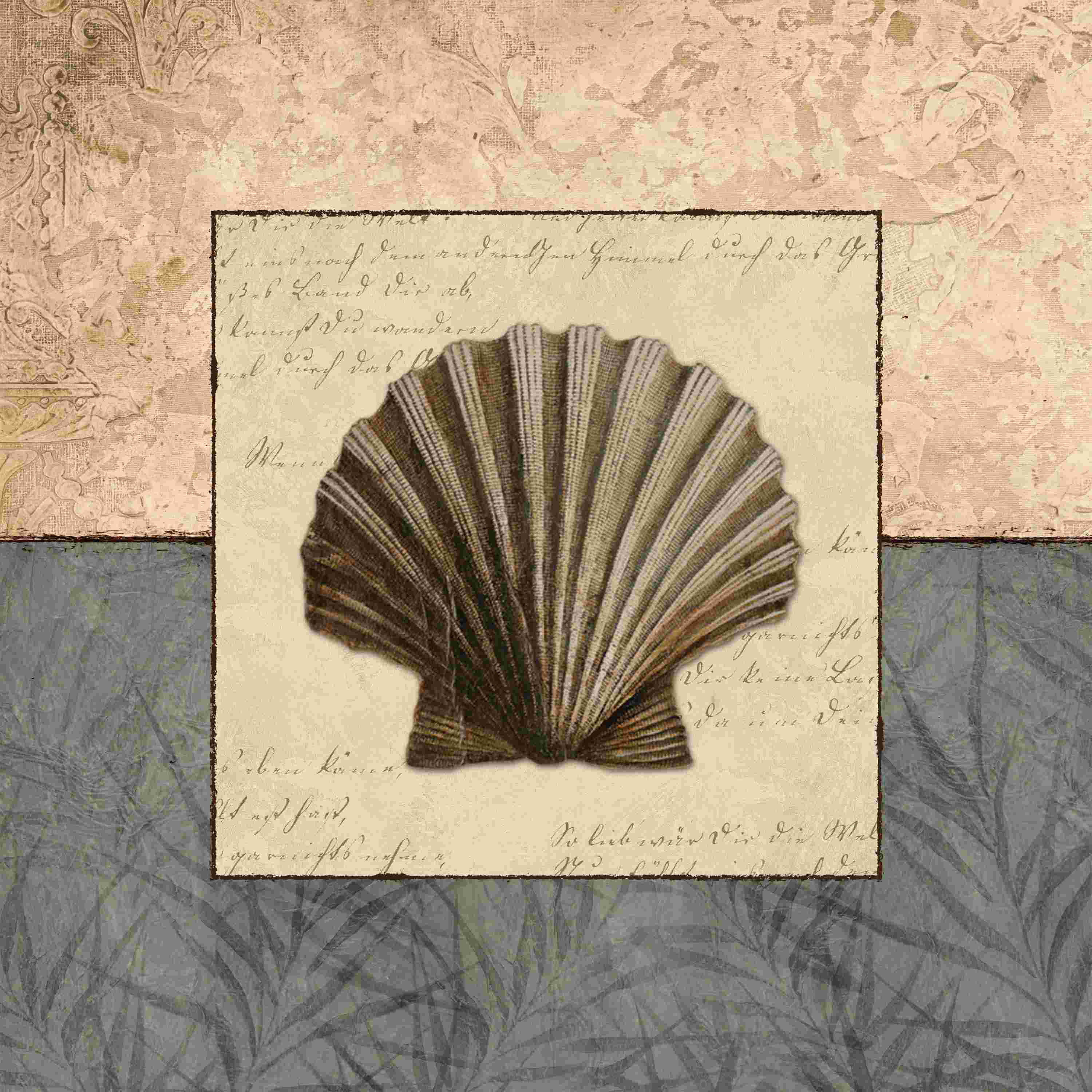 Highland Dunes Shell Study 2 - Wrapped Canvas Painting | Wayfair