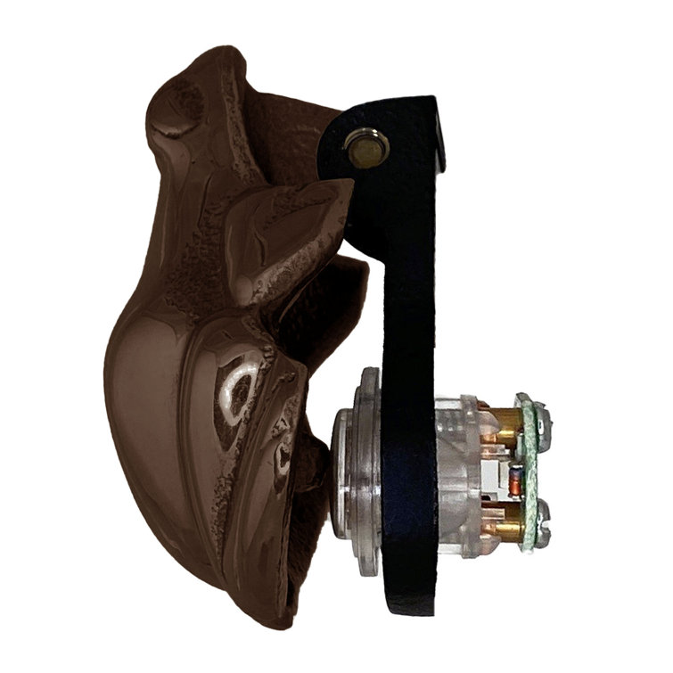 Michael Healy Tree Frog Doorbell Ringer Push Button | Wayfair