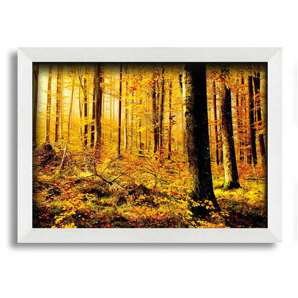 Union Rustic German Forest In Autumn - Single Picture Frame Art Prints ...