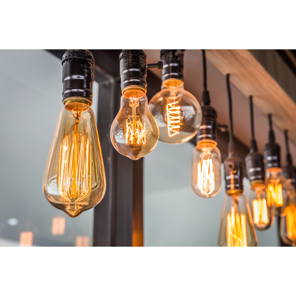 Ebern Designs Decor Bulb - Wrapped Canvas Photograph | Wayfair