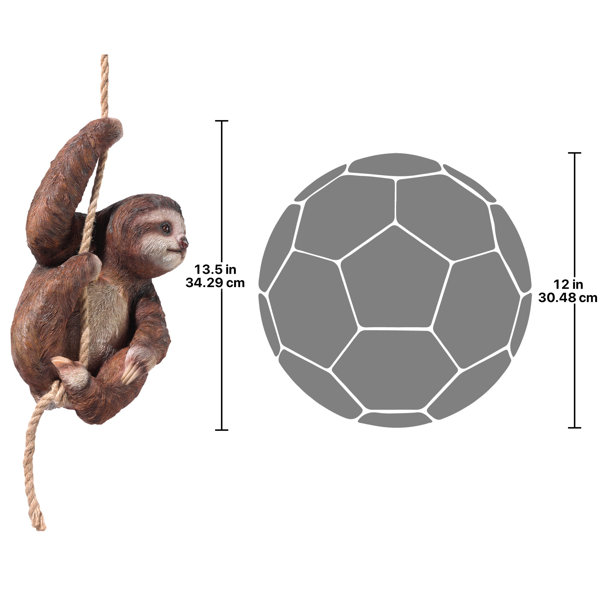 Design Toscano Hanging Horatio the 3-Toed Sloth Statue & Reviews | Wayfair