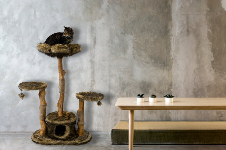 The 9 Best Cat Tree Features | Wayfair.co.uk