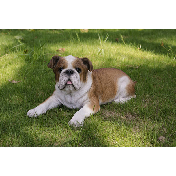 Red Barrel Studio® Large Bulldog Figurine & Reviews | Wayfair
