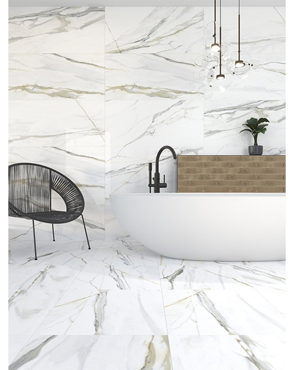Tile Club 24" X 48" Porcelain Wall & Floor Tile | Wayfair