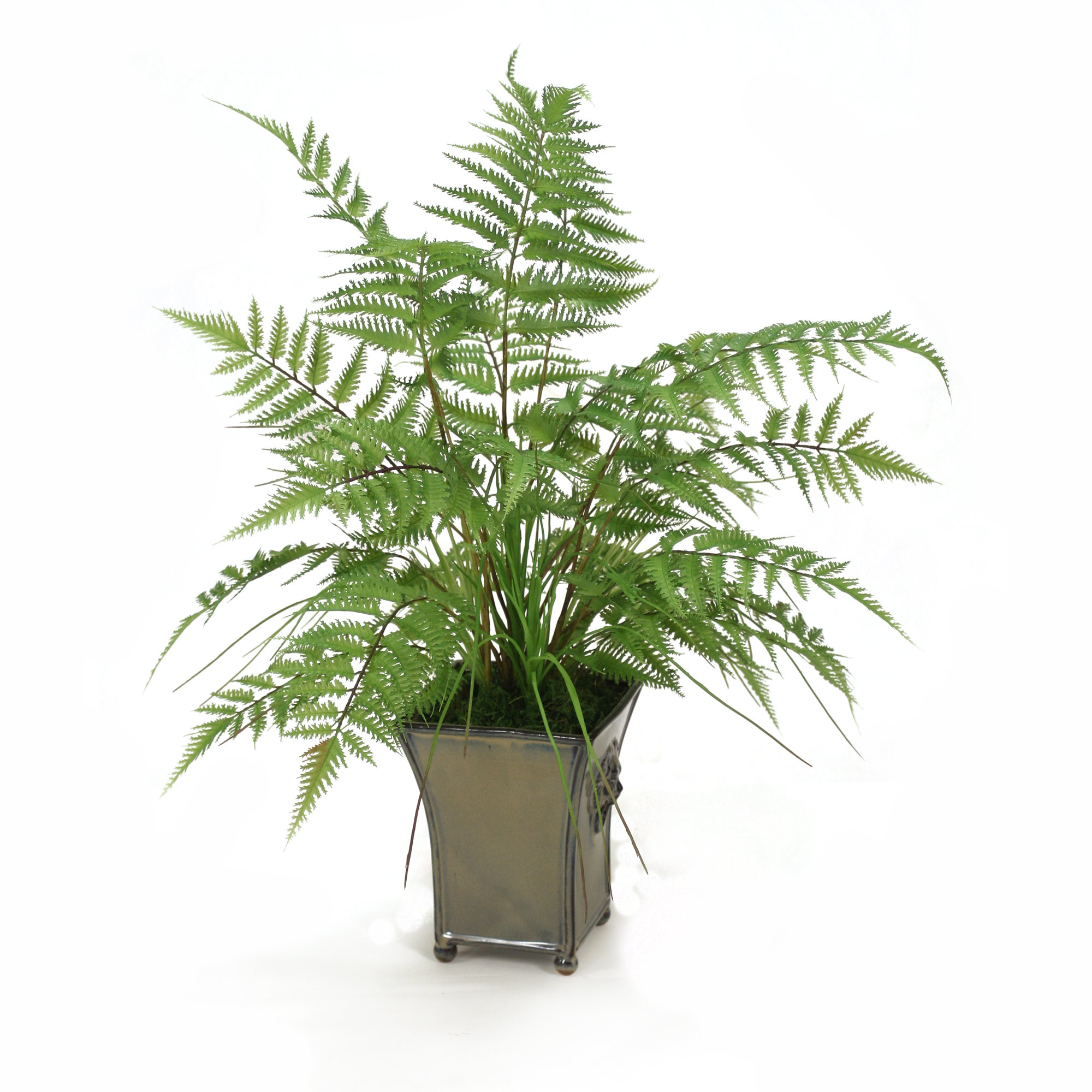Primrue 28" Artificial Fern Plant in Planter | Wayfair